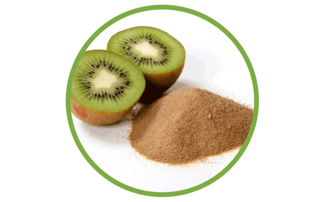 100% Natural Kiwi Fruit Powder Factory Price
