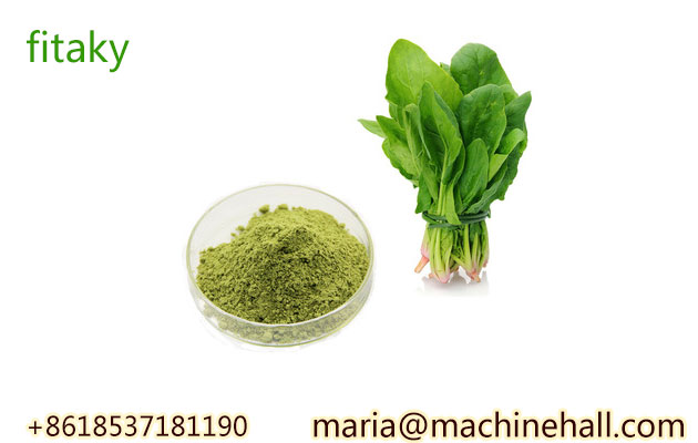 100% Pure Organic Spinach Powder Price
